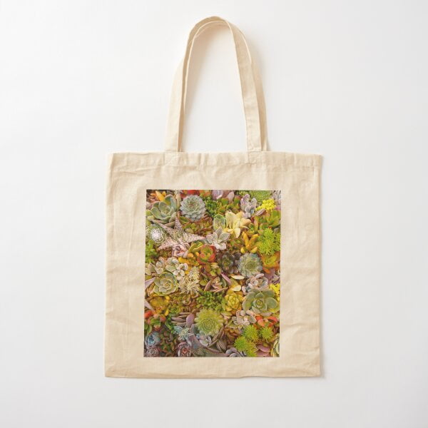 Succulent, Succulents, Cactus, Cacti, Aloe, Aloe Vera, Botany ...