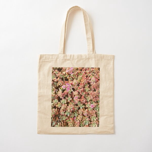 Succulent, Succulents, Nature, Natural, Green, Pink, Plant, Plants ...