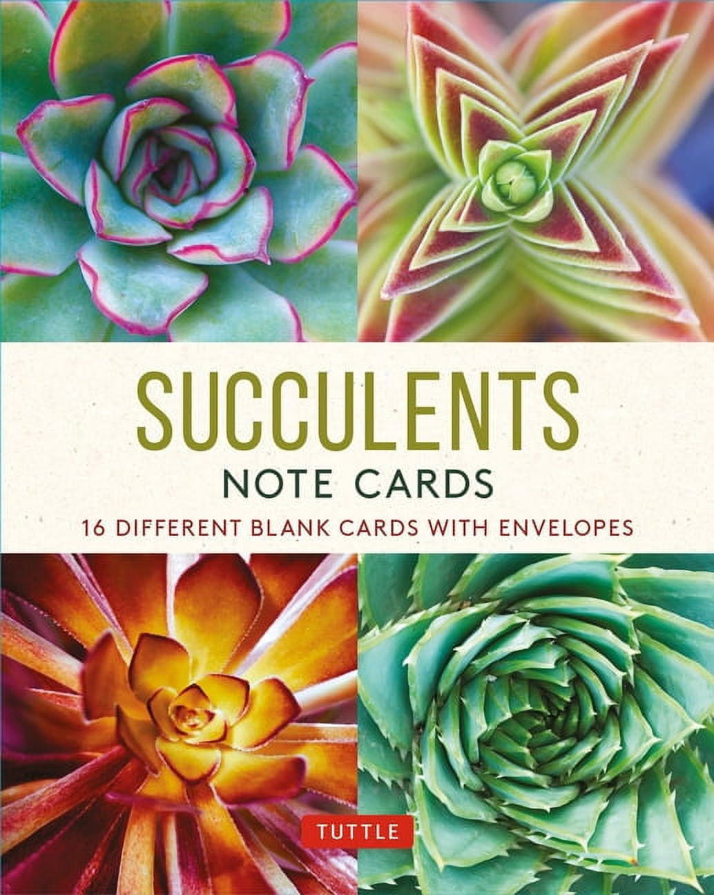 Succulents, 16 Note Cards: 16 Different Blank Cards with Envelopes in a ...