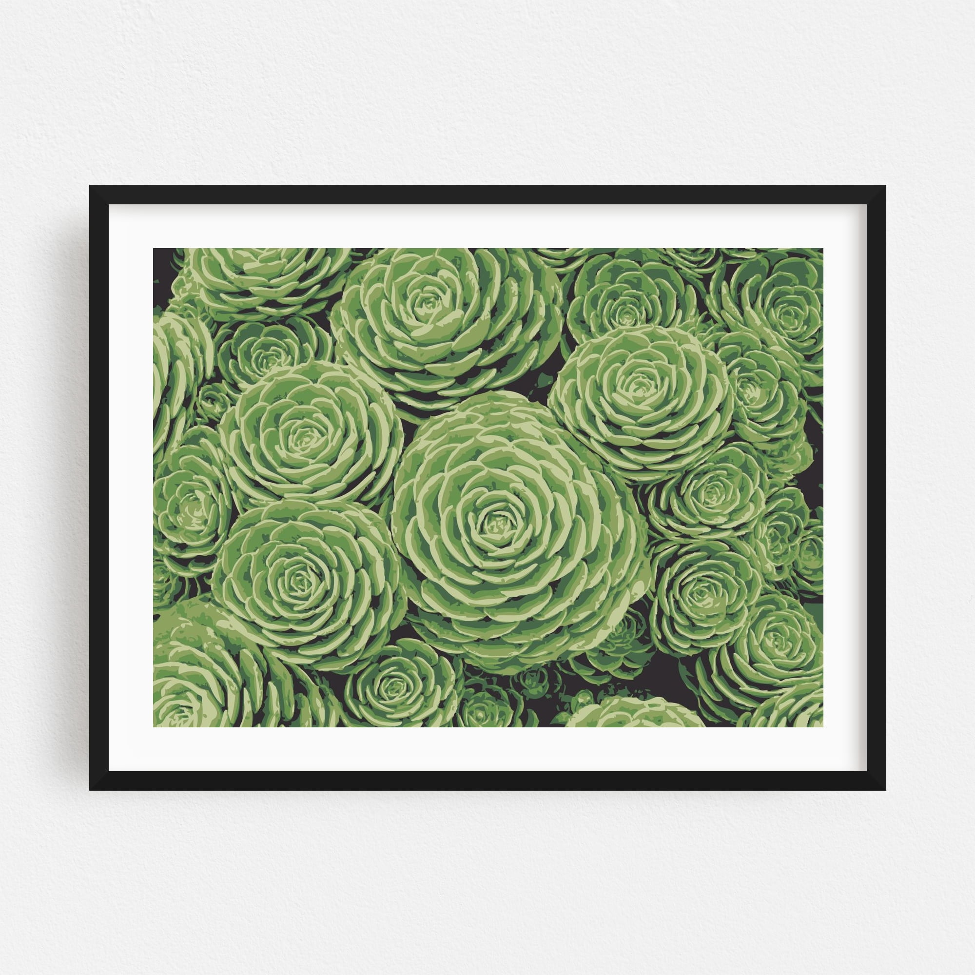 Succulents | Aeoniums | Garden Plants | Pot Plants | - Digital Art ...