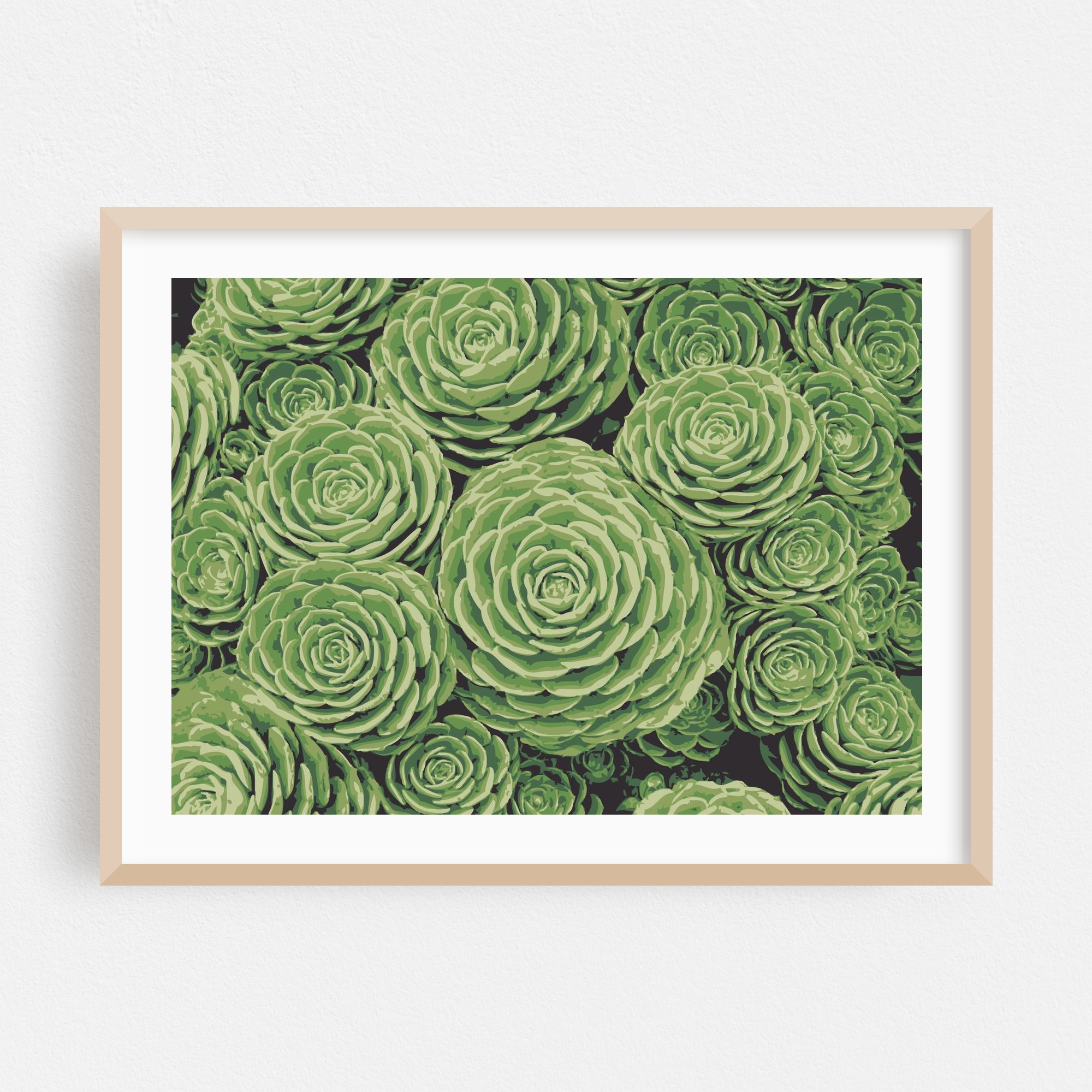 Succulents | Aeoniums | Garden Plants | Pot Plants | - Digital Art Oak ...