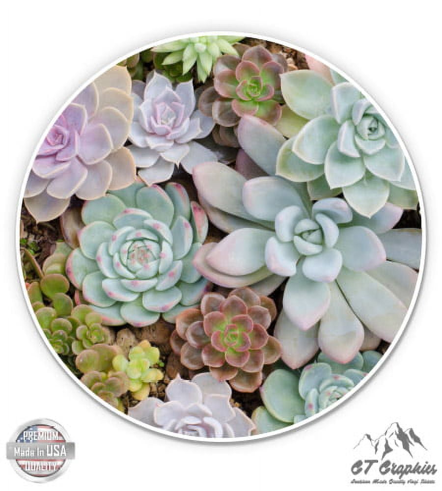 Succulents Circle Beautiful - 12" Vinyl Sticker Waterproof Decal ...