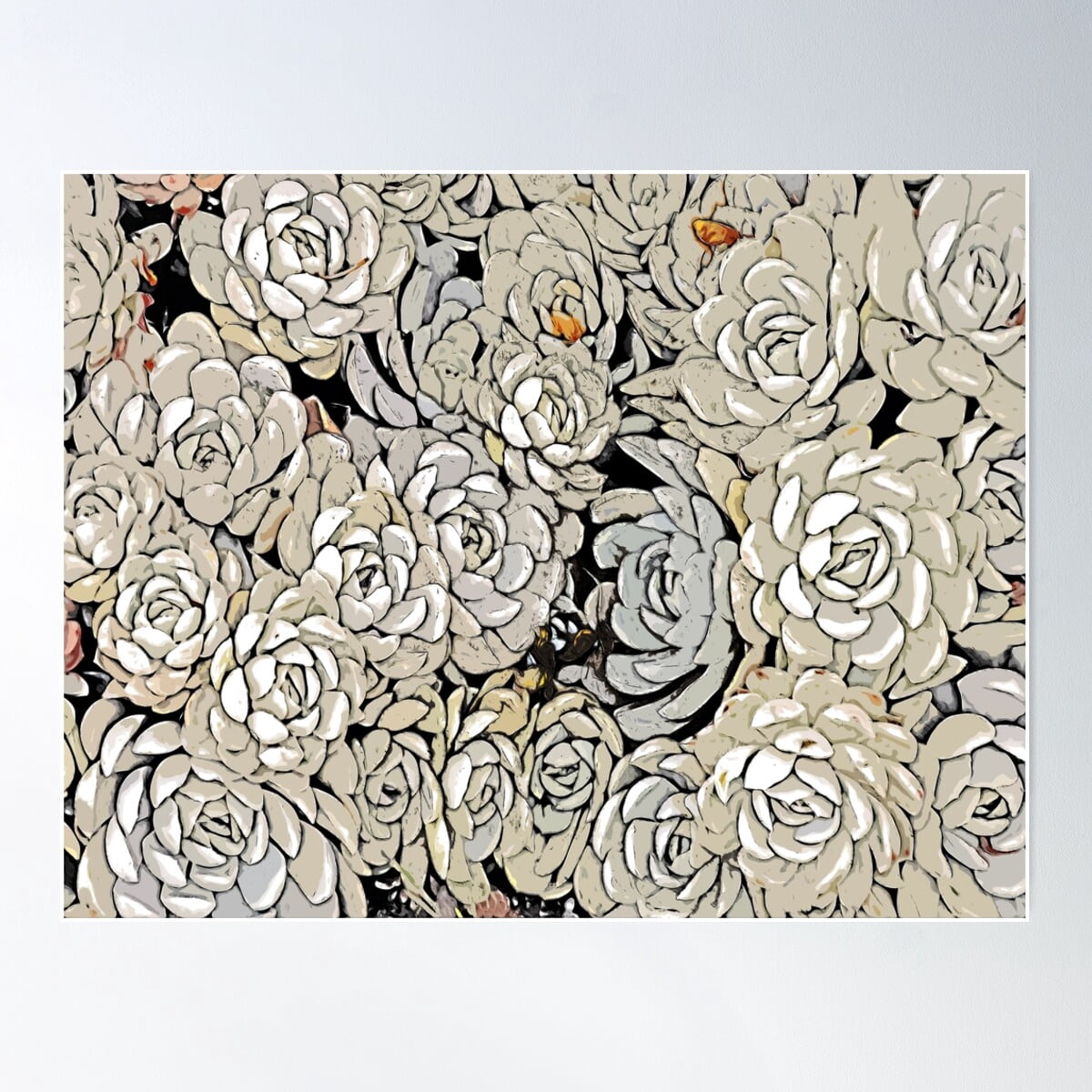 Succulents, Color Art Poster Wall Art, Modern Wall Decor For Living ...