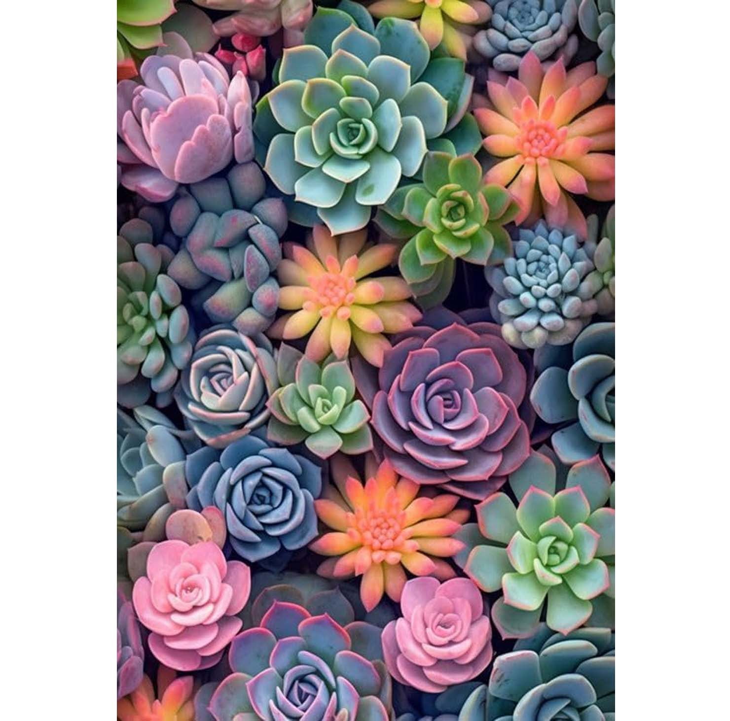 Succulents Diamond Painting Kits for Adults Beginners-Succulents Plant ...