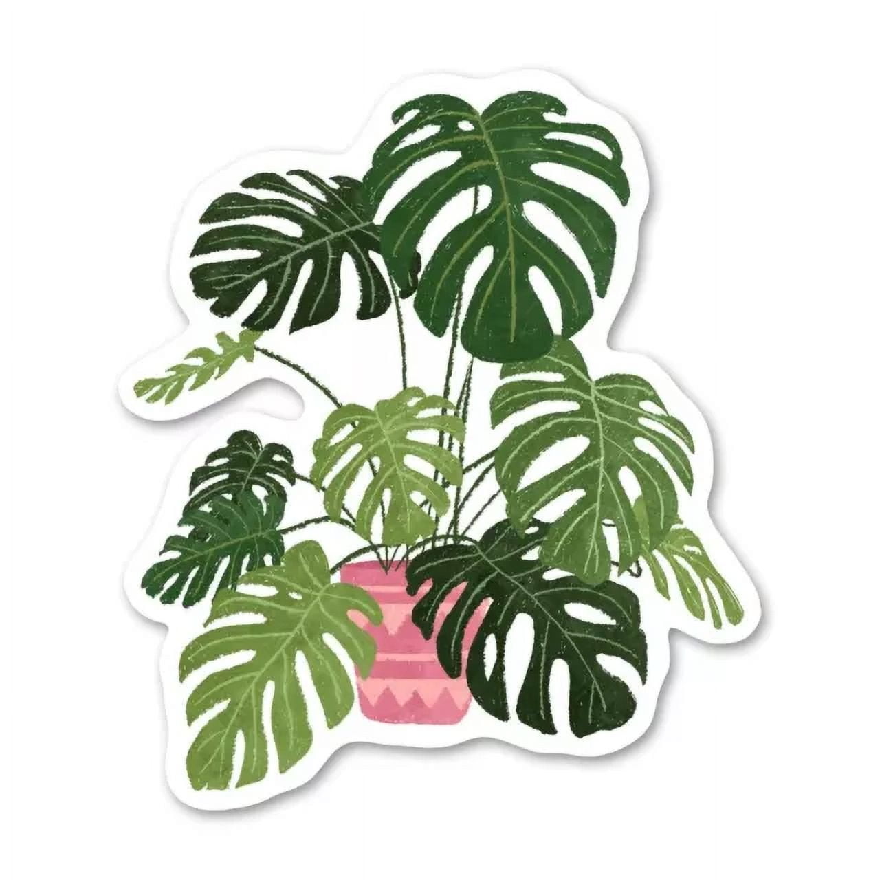 Succulents Plant In Pot Home Plants Lover Garden Vinyl Wall Decal Decor ...