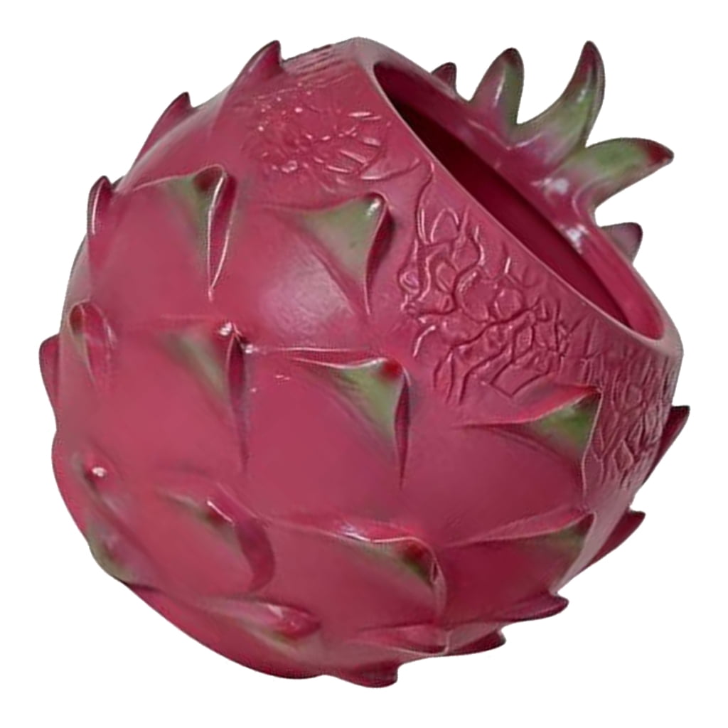 Succulents Pots with Drainage Hole,Indoor/Outdoor Pitaya Planter,Lovely ...