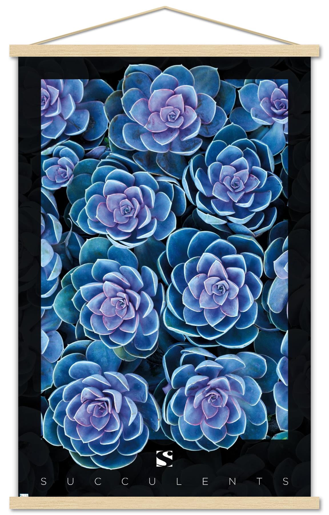 Succulents - Purple Wall Poster with Wooden Magnetic Frame, 22.375" x ...