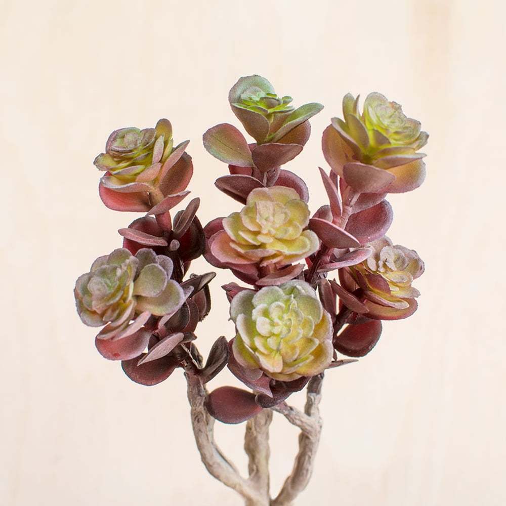 Succulents Succulent Spray Faux Stem Artificial Flower 8 inch Red ...