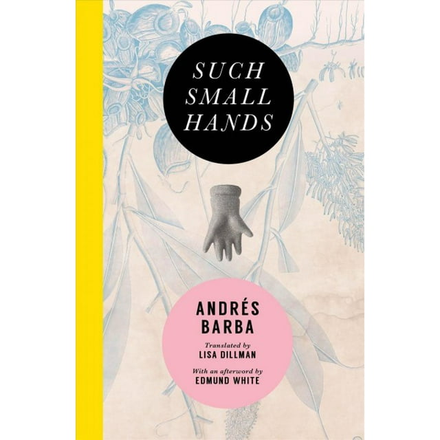 Such Small Hands (Paperback) by Andres Barba, Lisa Dillman, Edmund ...