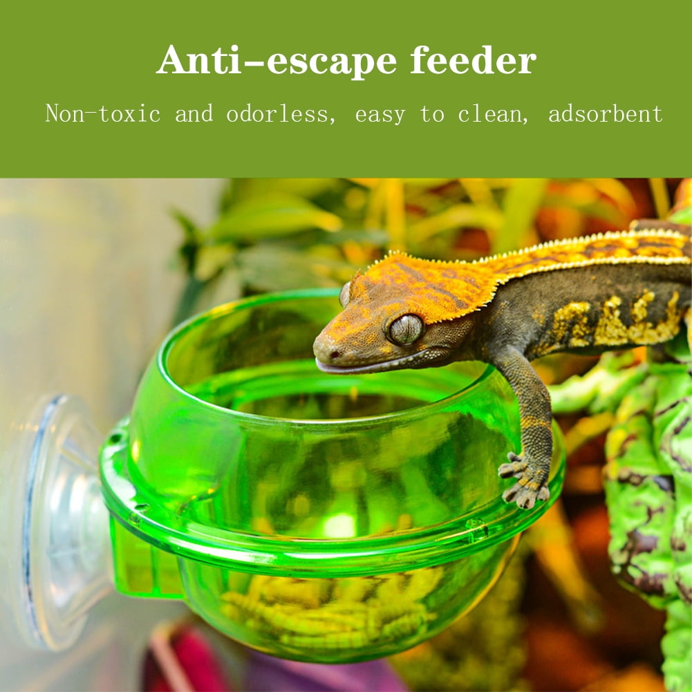 Suction Cup Reptile Feeder, Chameleon Feeding Food Bowl, Escape Proof ...