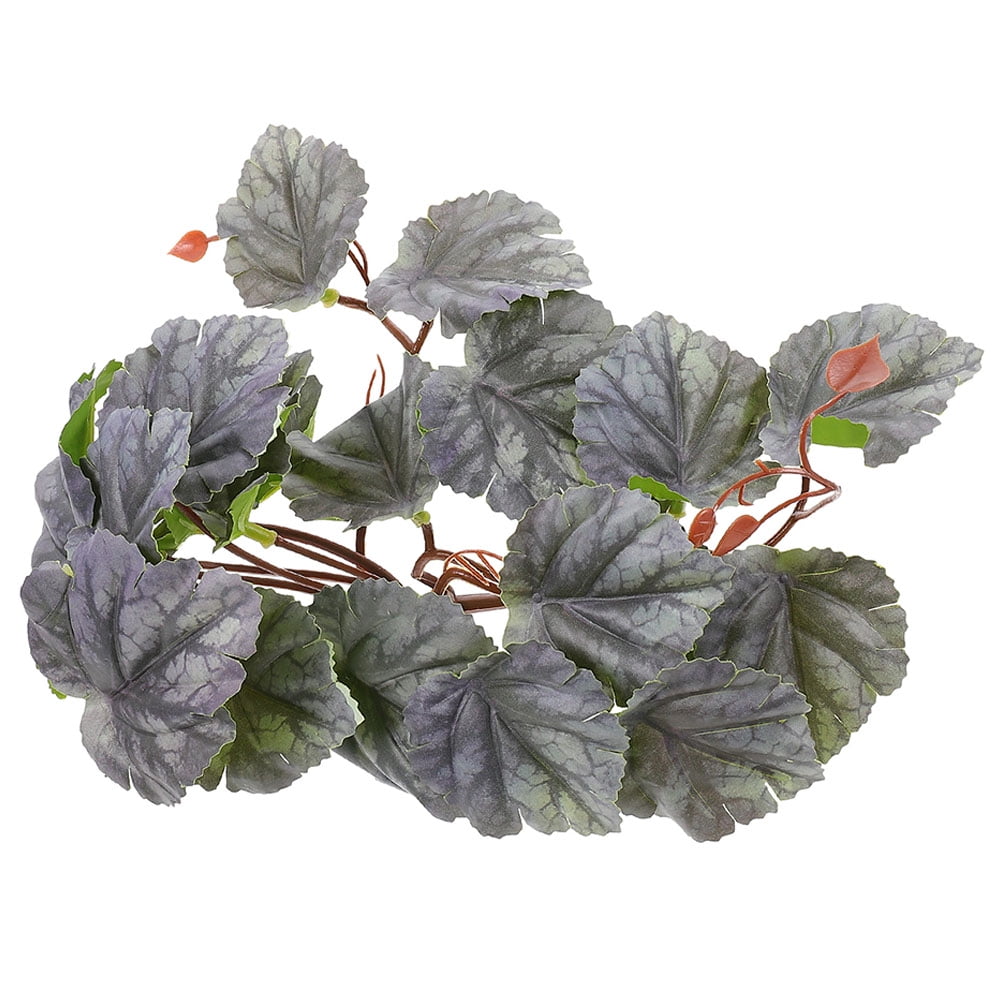 Suction Cups for Hanging Plants Snake Tank Accessories Flower Pot ...