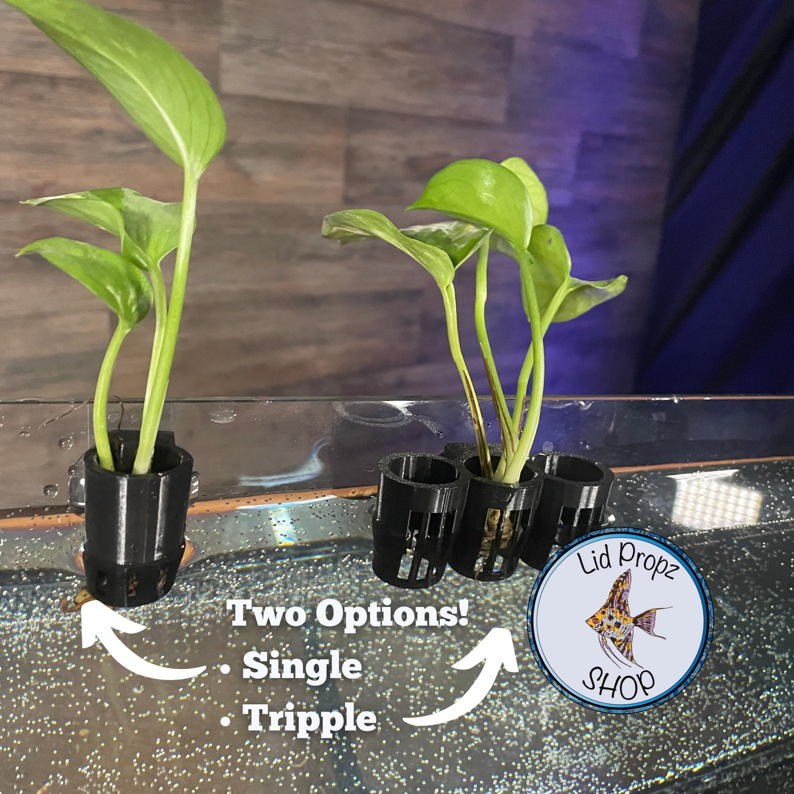 Suction Mangrove Holder for Aquariums - Nitrate Reducer - Walmart.com