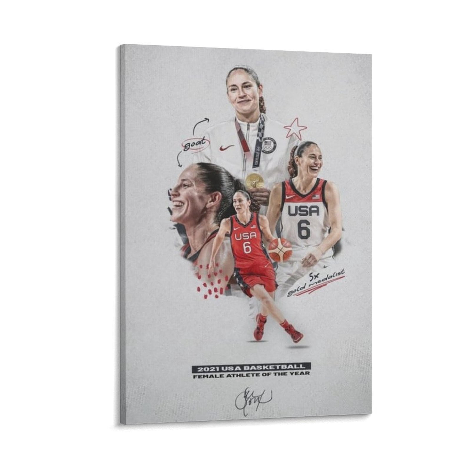 Sue BIRD Poster Canvas Poster Posters Wall Art Painting Canvas Gift ...