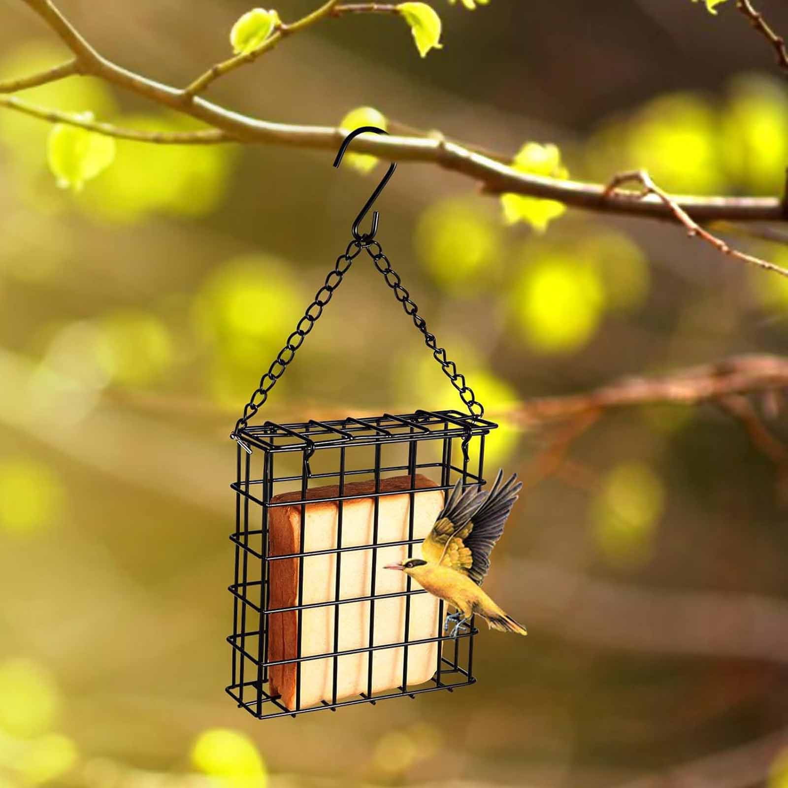 Suet Bird Feeders - Bird Cage Feeder for Outside Hanging - Outdoor ...