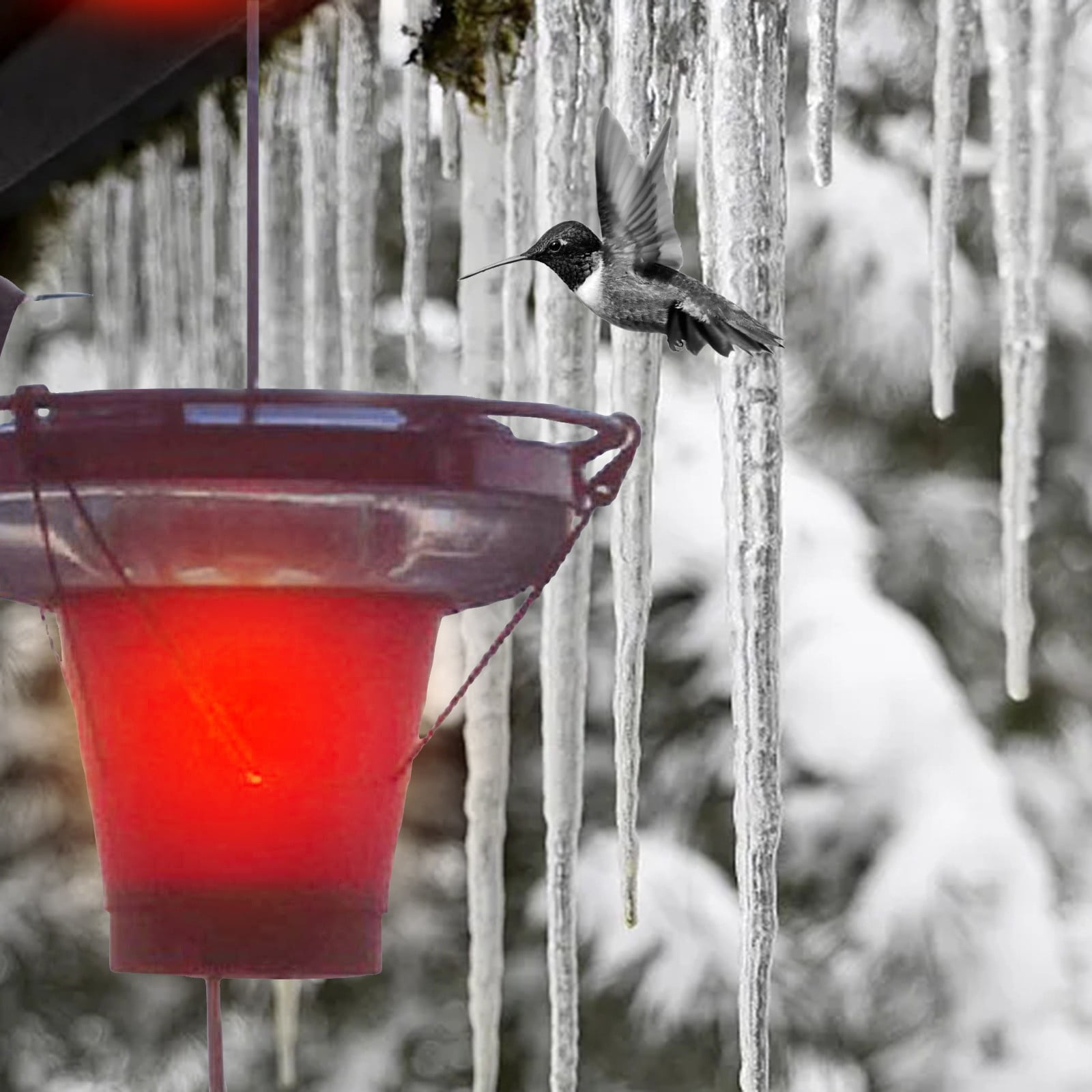 Suet Feeder Cage Multiple Feeder Hummingbird Feeder Lightweight Treadle ...