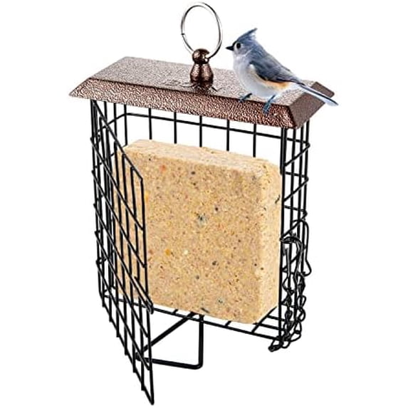 Suet Feeder Suet Bird Feeders for Outside Hanging,Squirrel Proof Suet ...