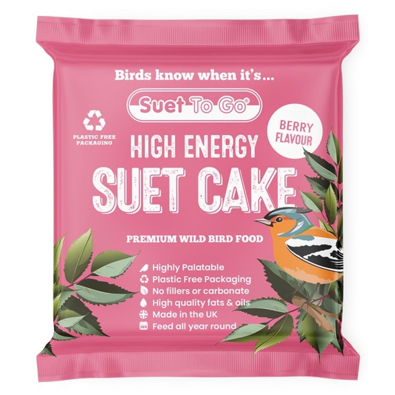 Suet to Go Block Berry Bird Health 280g Case of 5 - Walmart.com