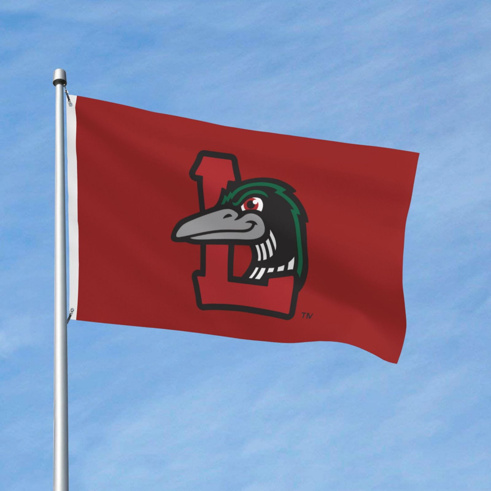 Great Lakes Loons Banner 3x5 Ft Flag,Double Sided Printed Flag Indoor ...