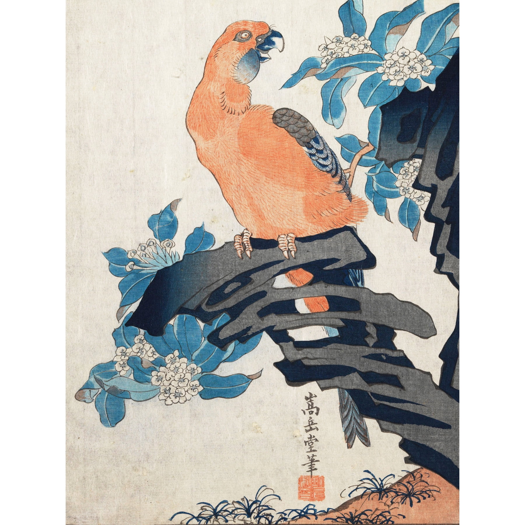 Sugakudo Pink Parrot Extra Large Art Print Wall Mural Poster Premium XL ...