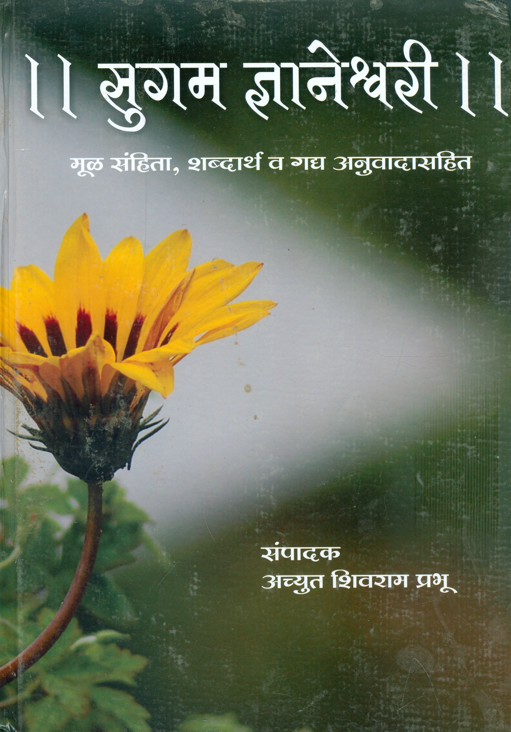 Sugam Dnyaneshwari (सुगम ज्ञानेश्वरी) a Hardcover, Marathi language ...