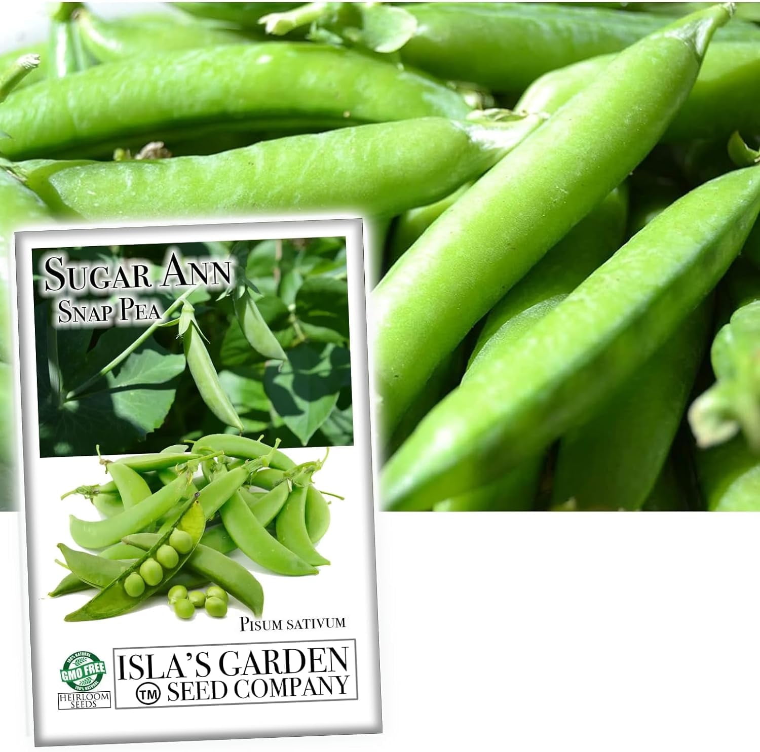 Sugar Ann Snap Pea Garden Seeds, 50+ Heirloom Seeds Per Packet Non GMO ...