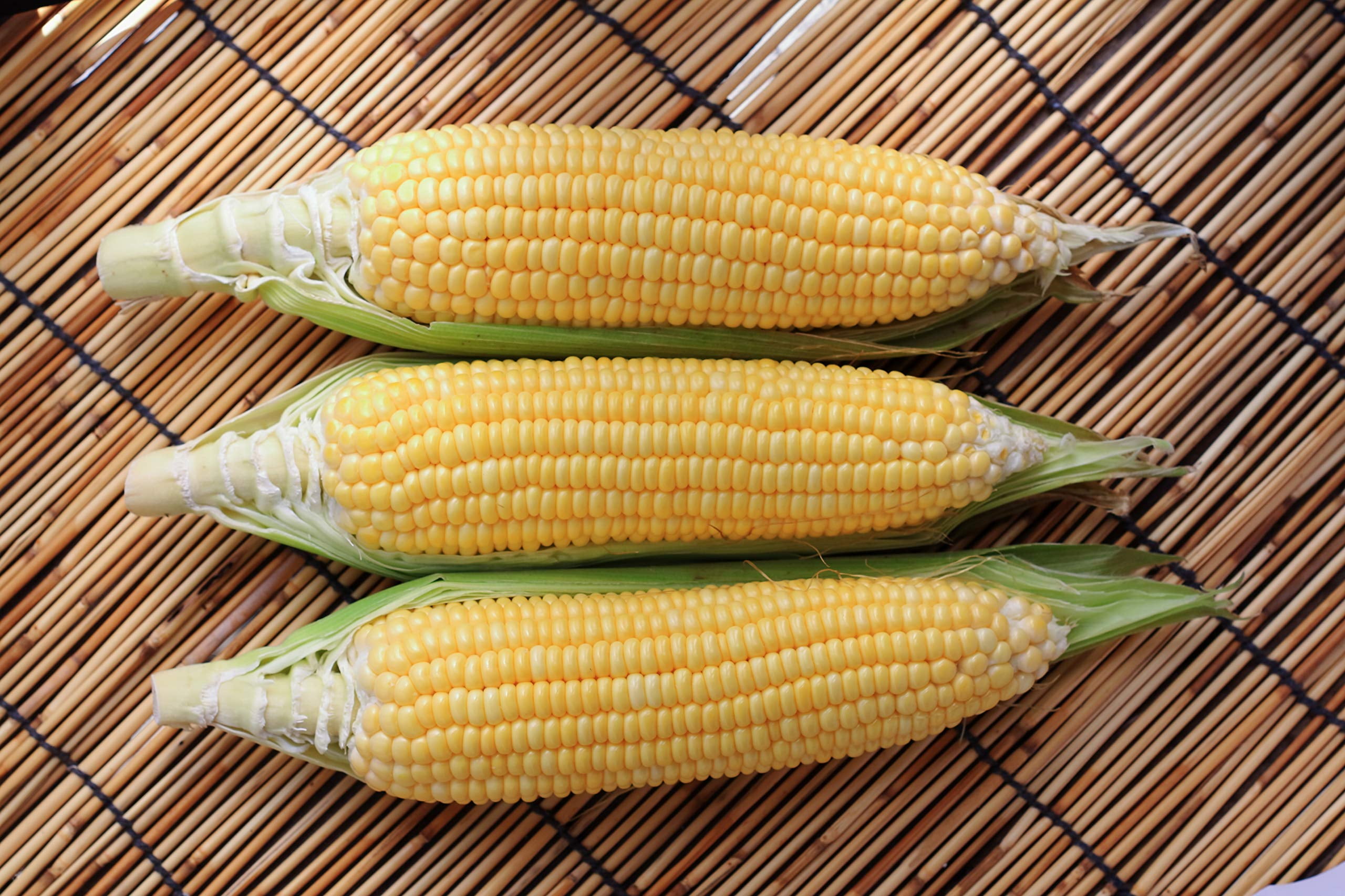 Sugar Buns Hybrid Corn Seeds C21 - Walmart.com