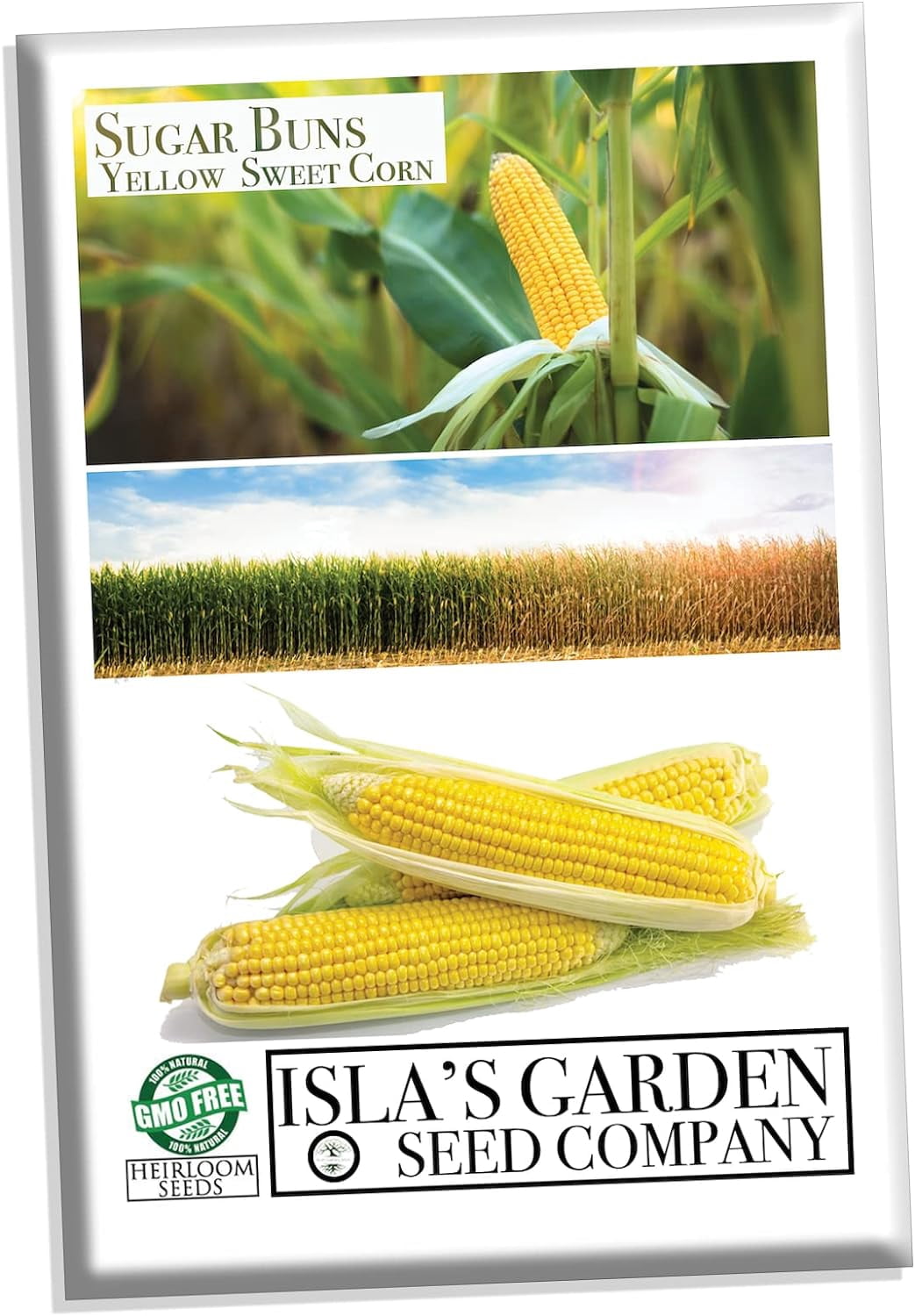 Sugar Buns Sweet Yellow Corn Seeds for Planting, 50+ Heirloom Seeds Per ...