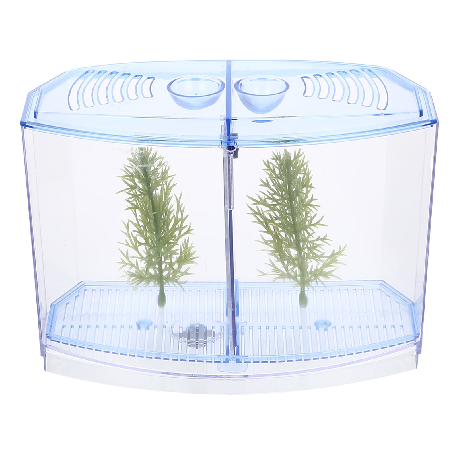 Sugar Cane Container Accessories Betta Box Shop Fish Tank - Walmart.com