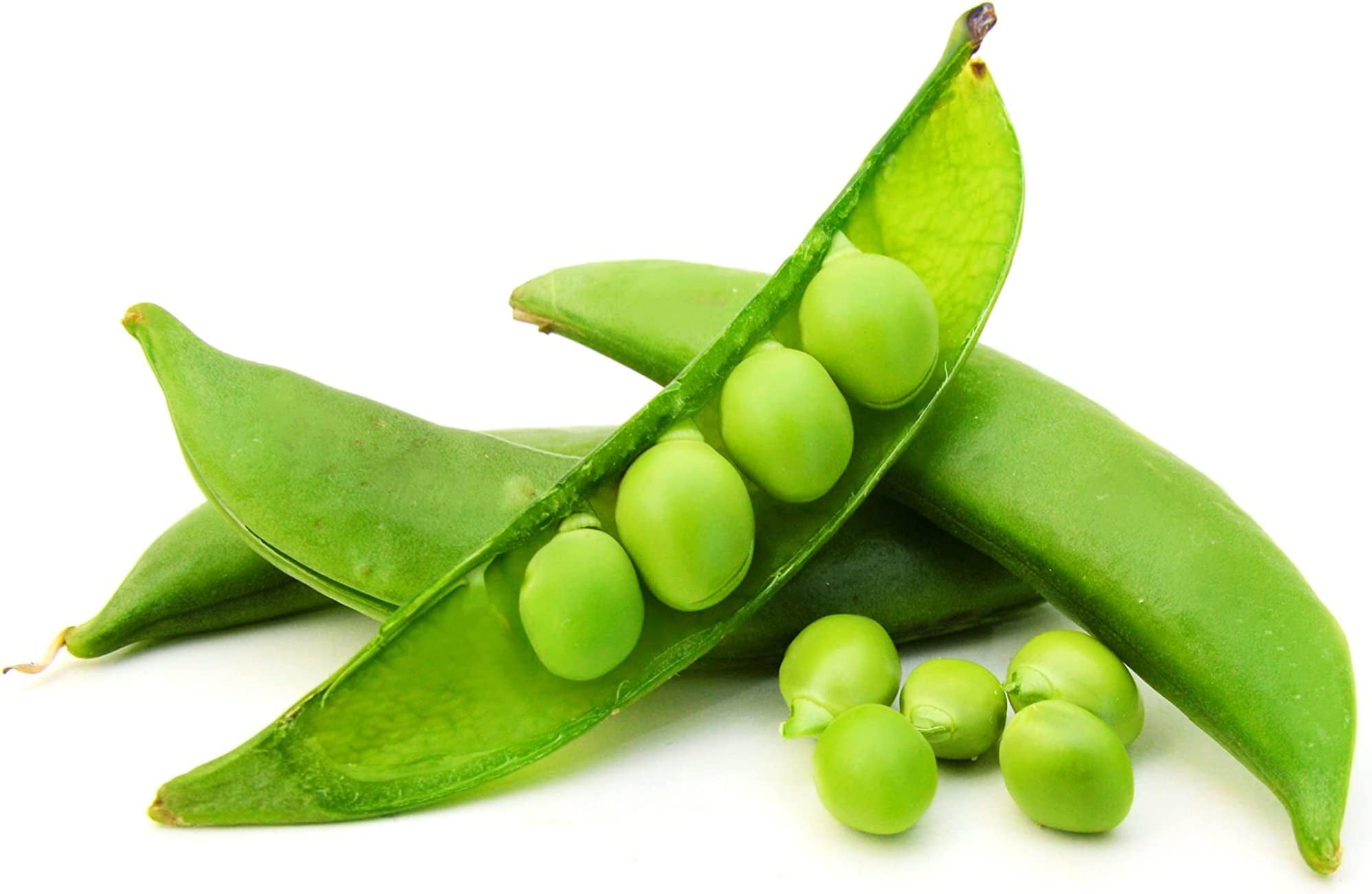 Sugar Daddy Snow Pea Seeds | 100 Seeds to Grow | Vegetable Seeds for ...