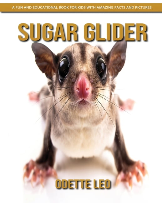 Sugar Glider: A Fun and Educational Book for Kids with Amazing Facts ...