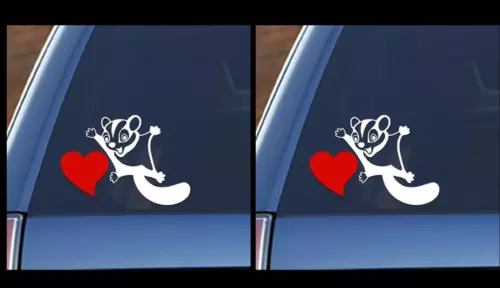 Sugar Glider Flying Squirrel Love - Two 7" Color Vinyl Sticker Decal ...