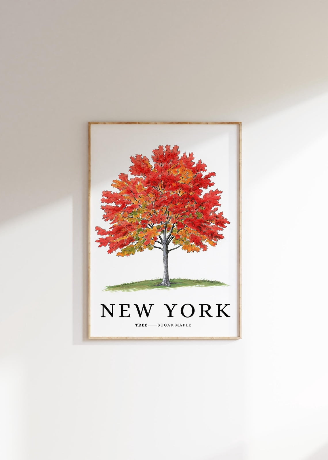 Sugar Maple Tree Poster: New York State Symbol Art, Unframed Poster ...
