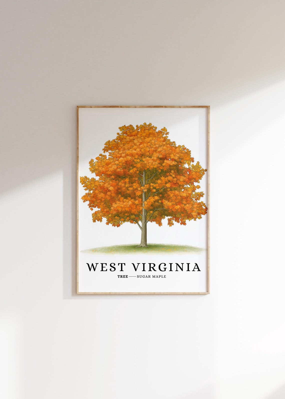 Sugar Maple Tree Poster: West Virginia State Symbol Art, Unframed ...