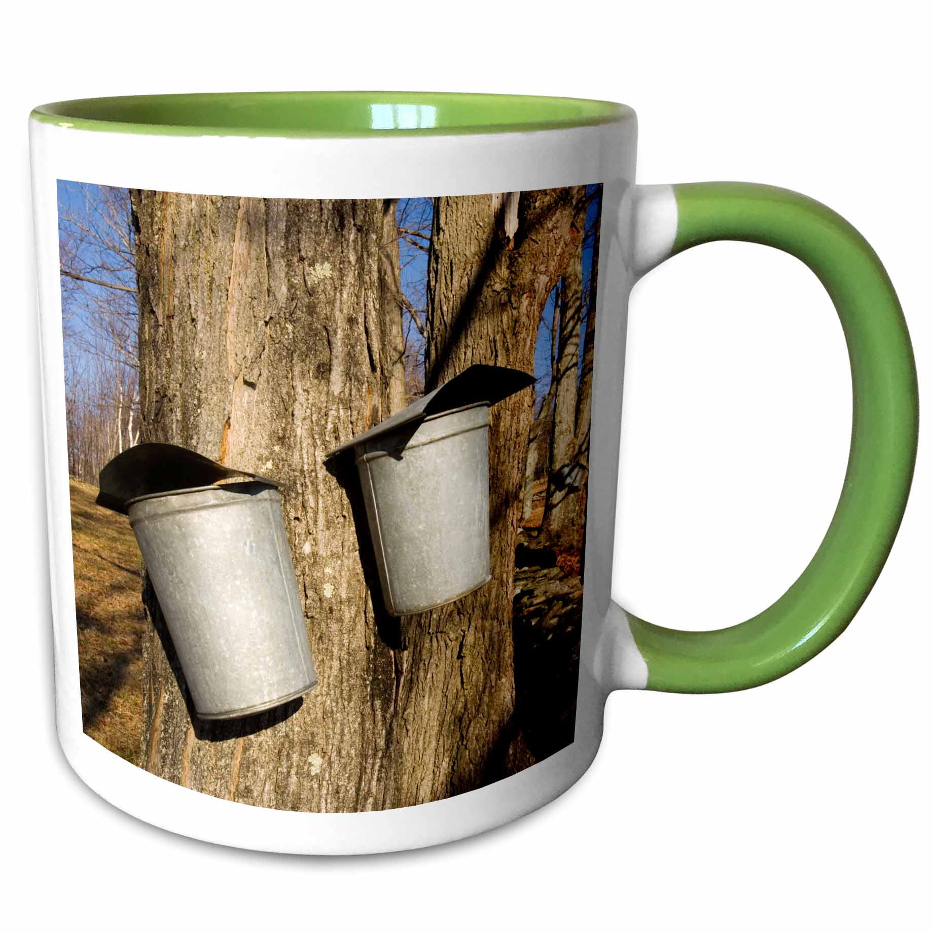 3drose, Sugar Maple Trees in Lyme, New Hampshire - Us30 Jmo1582 - Jerry ...