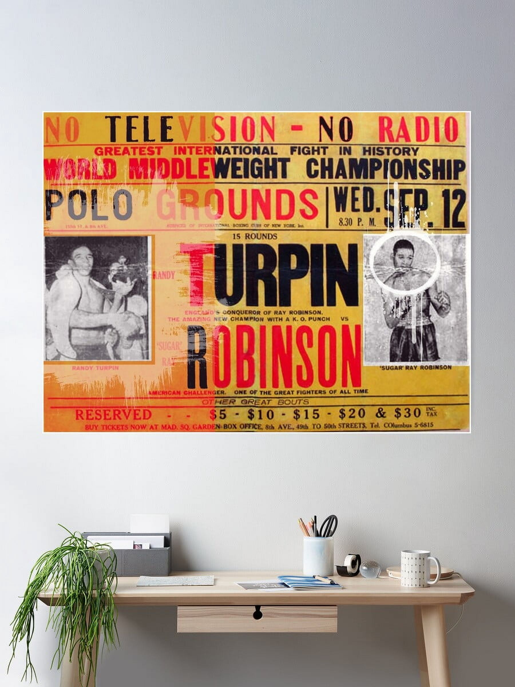 Sugar Ray Poster Wall Art, Modern Wall Decor For Living Room Bedroom ...