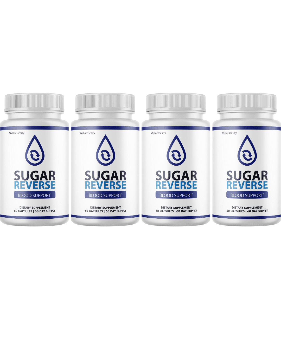 Sugar Reverse, Blood Support Formula, SugarReverse - 4 Bottles ...