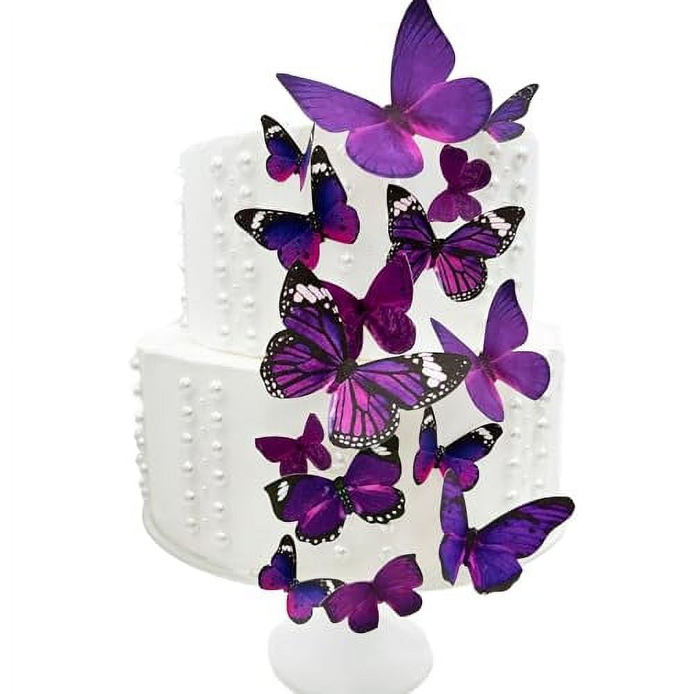 Sugar Robot Inc. Edible Butterflies for Cake Decorating - Assorted ...