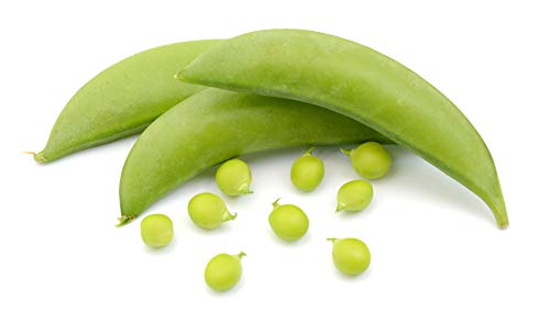 Sugar Sprint Snap Pea Seeds, 25 Heirloom Seeds Per Packet, Non GMO ...