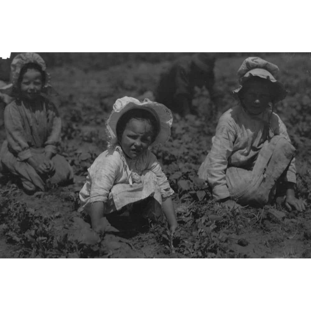 Sugar beet workers Sugar City Colorado. Mary six years Lucy eight Ethel ...