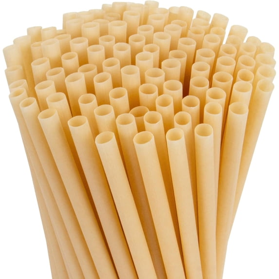 Sugarcane Straws - 100PCS Straws Disposable Biodegradable Compostable ...