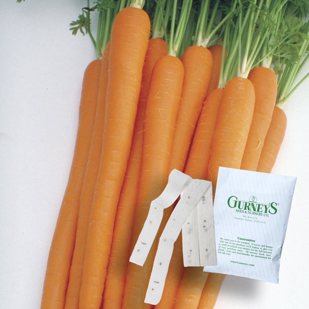 Sugarsnax Carrots - 2 seed tapes measuring 7.5 feet long each - Walmart.com