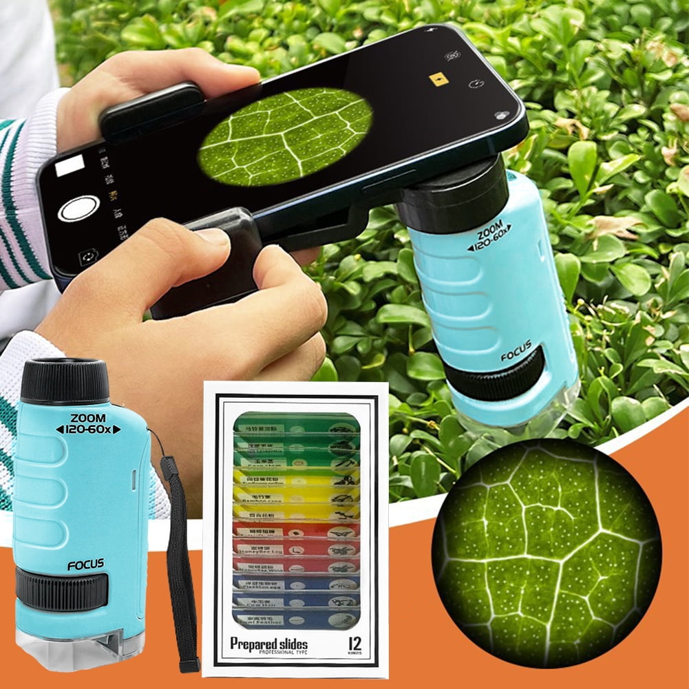 Sugarty Mini Pocket Microscope with Specimen Slides LED Light 60-120x ...