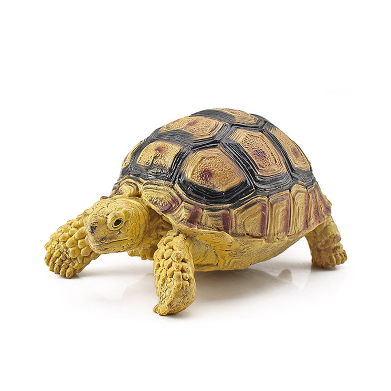 Sulcata Tortoise Mold Vivid Clear Texture 3D Effect Sea Ocean Life ...