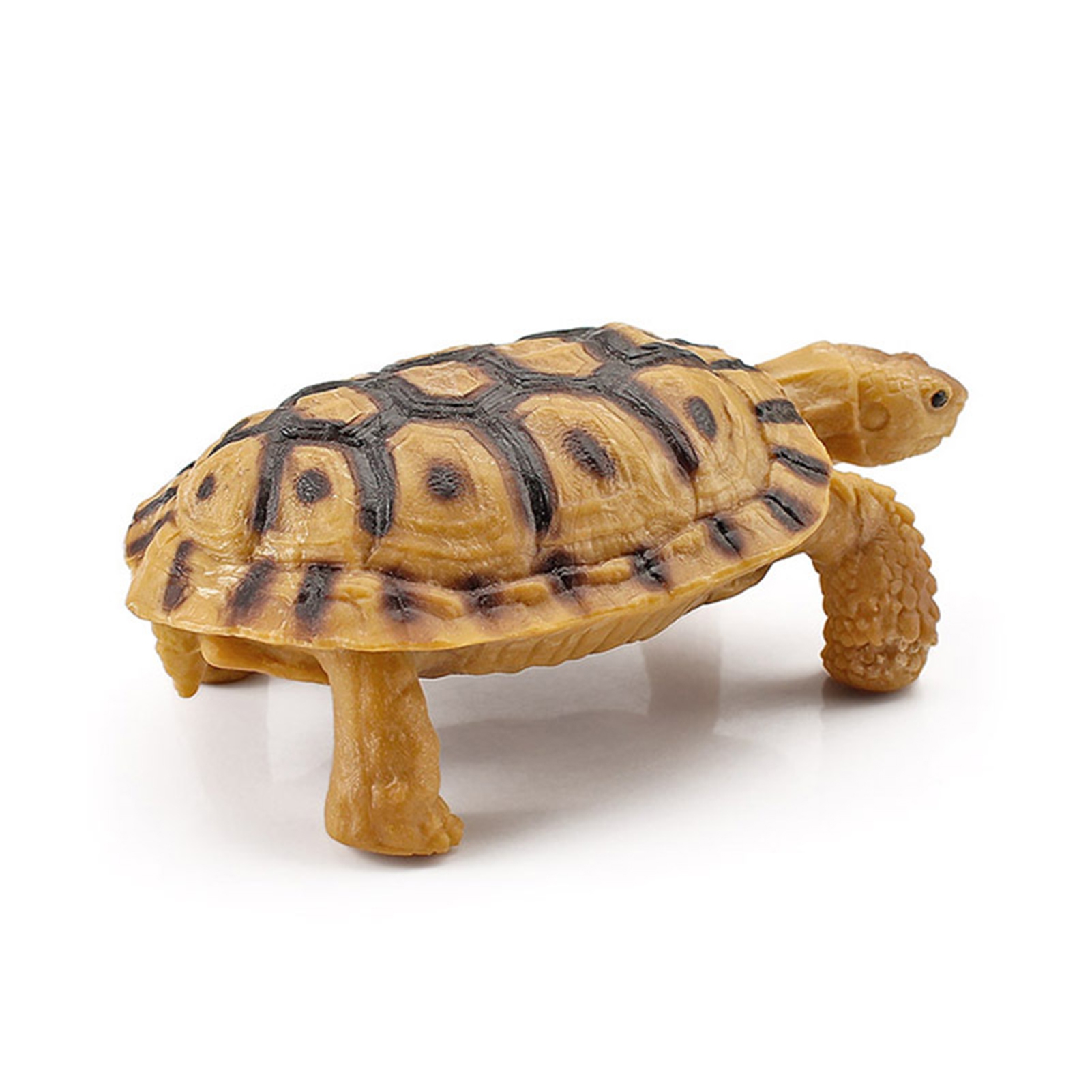 Sulcata Tortoise Mold Vivid Clear Texture 3D Effect Sea Ocean Life ...