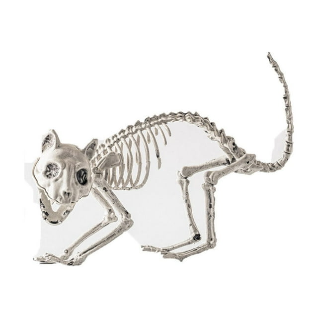Sulgyt Halloween Plastic Dog Skeleton Puppy Skeleton Plastic Dog Bones ...