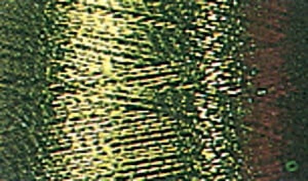 Sulky Metallic Thread-Pine Green - Walmart.com