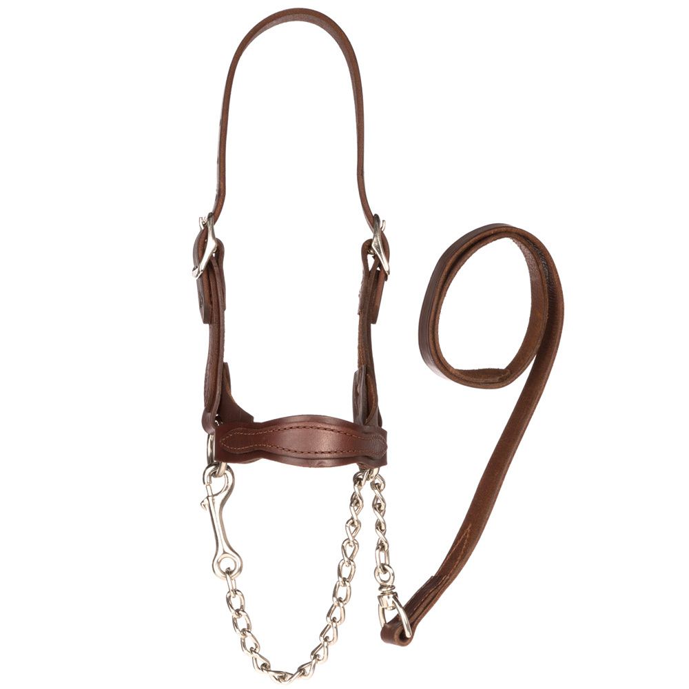 Sullivan Supply (C)Leather Scallop Nose Show Halter MD BR(6) Brown ...