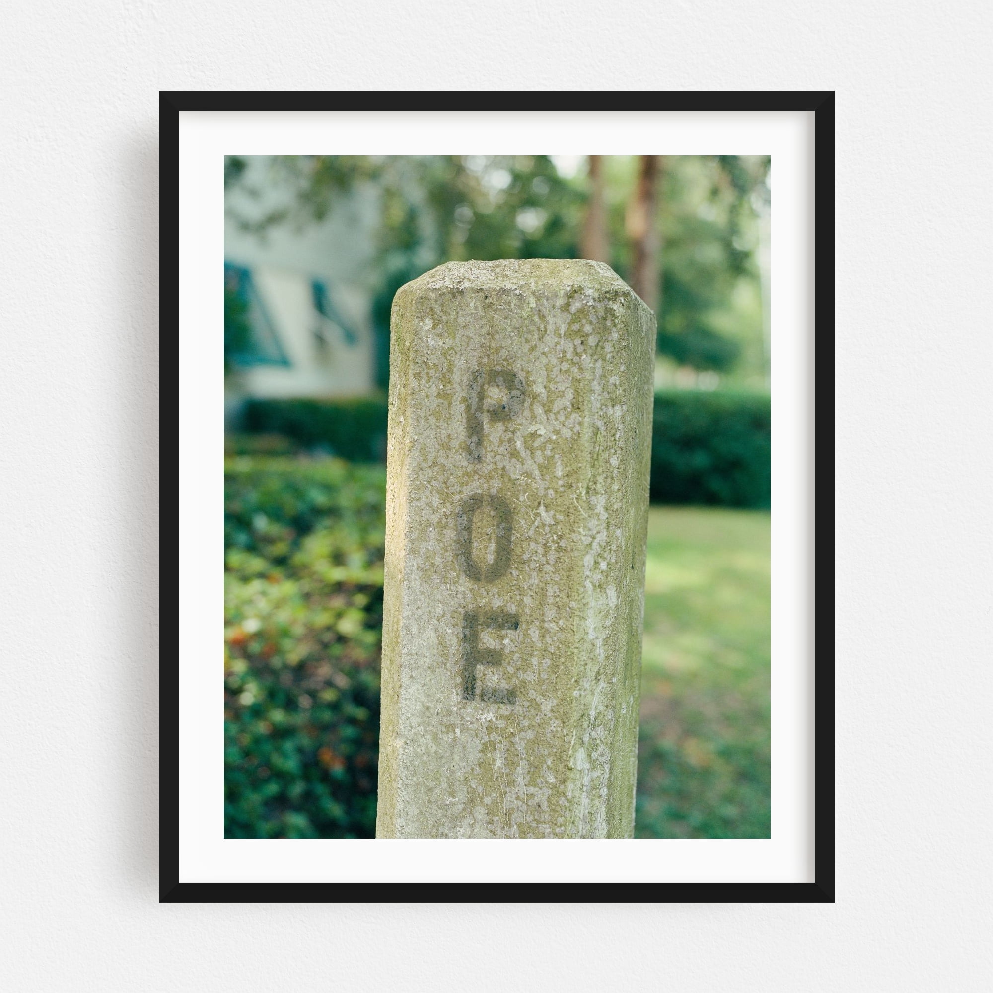 Sullivan's Island III - Sullivan's Island South Carolina Photography ...