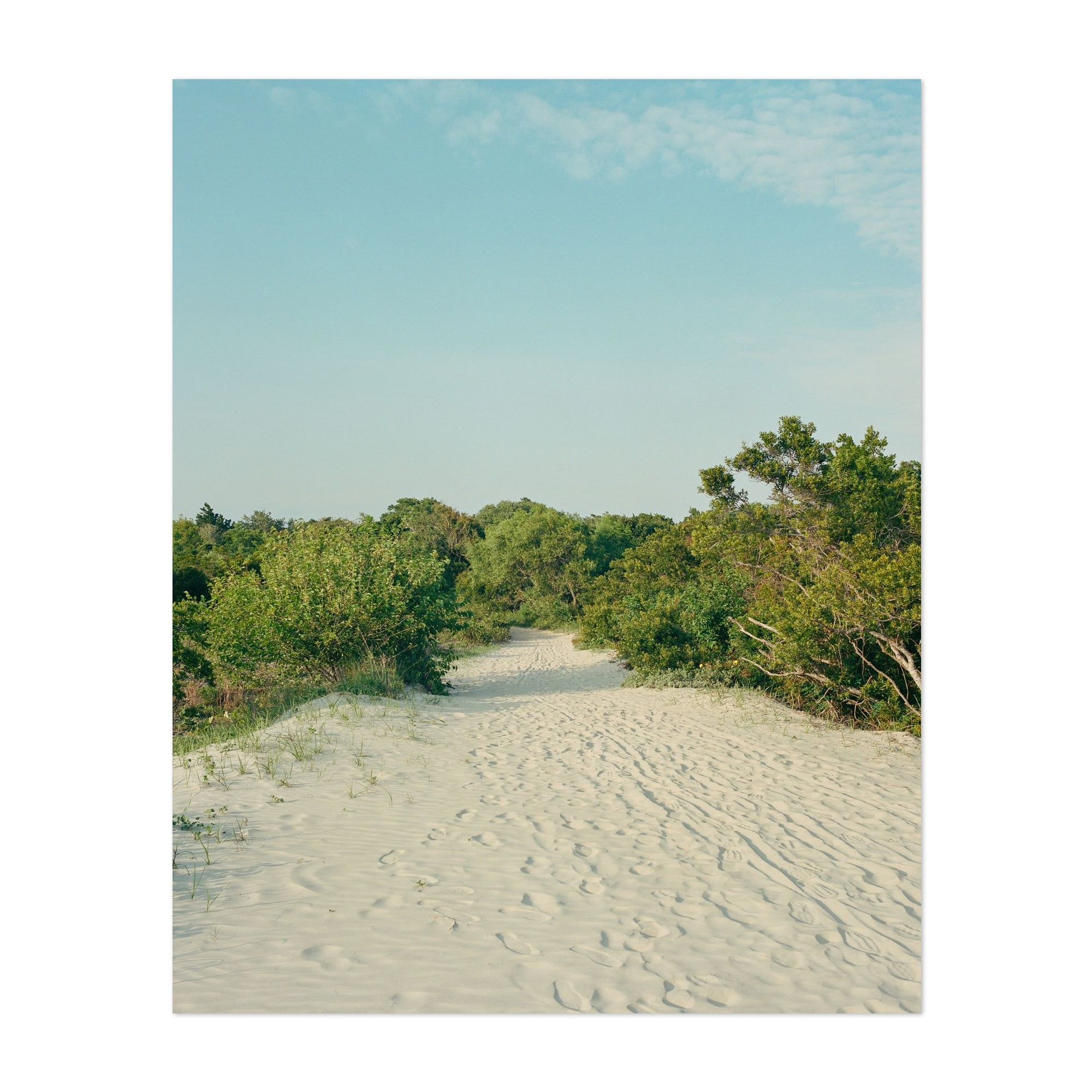 Sullivan's Island - Sullivan's Island South Carolina Photography Nature ...