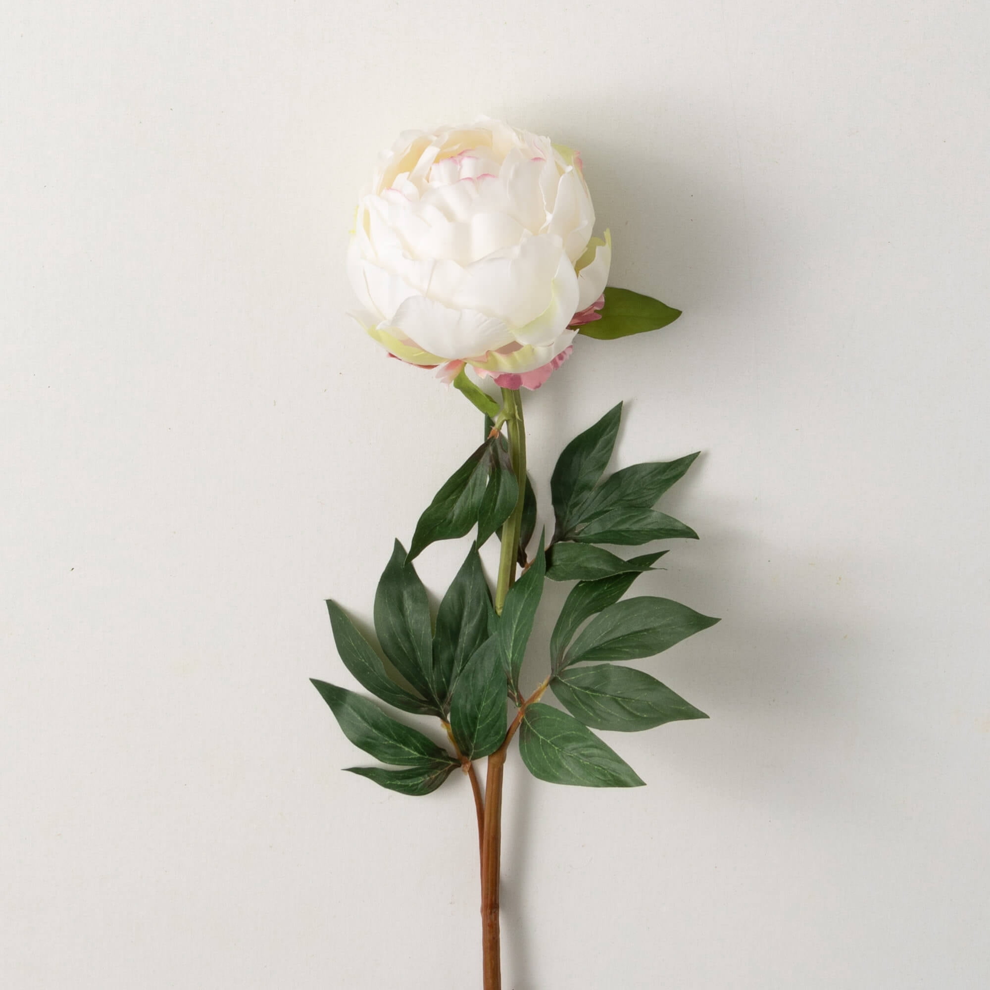 Sullivans 28" Artificial White Peony Spray - Walmart.com